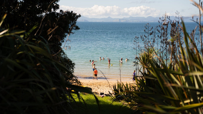 Beaches – Rotoroa Island Trust