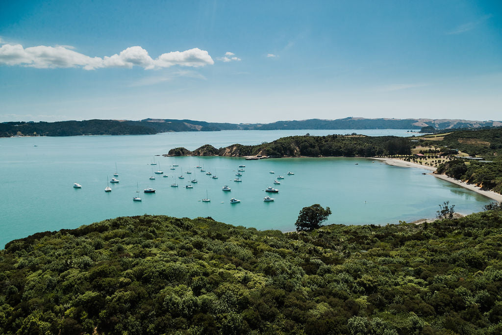 Household – Rotoroa Island Trust